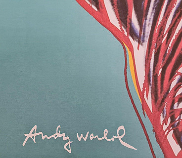 Zebra, lithography, reproduction after Andy Warhol | intOndo